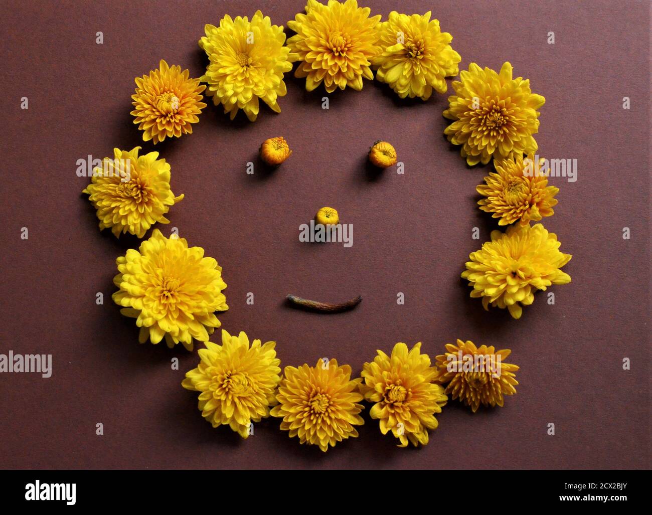 A smiling face made with yellow Chrysanthemum flowers. Creative concept ...