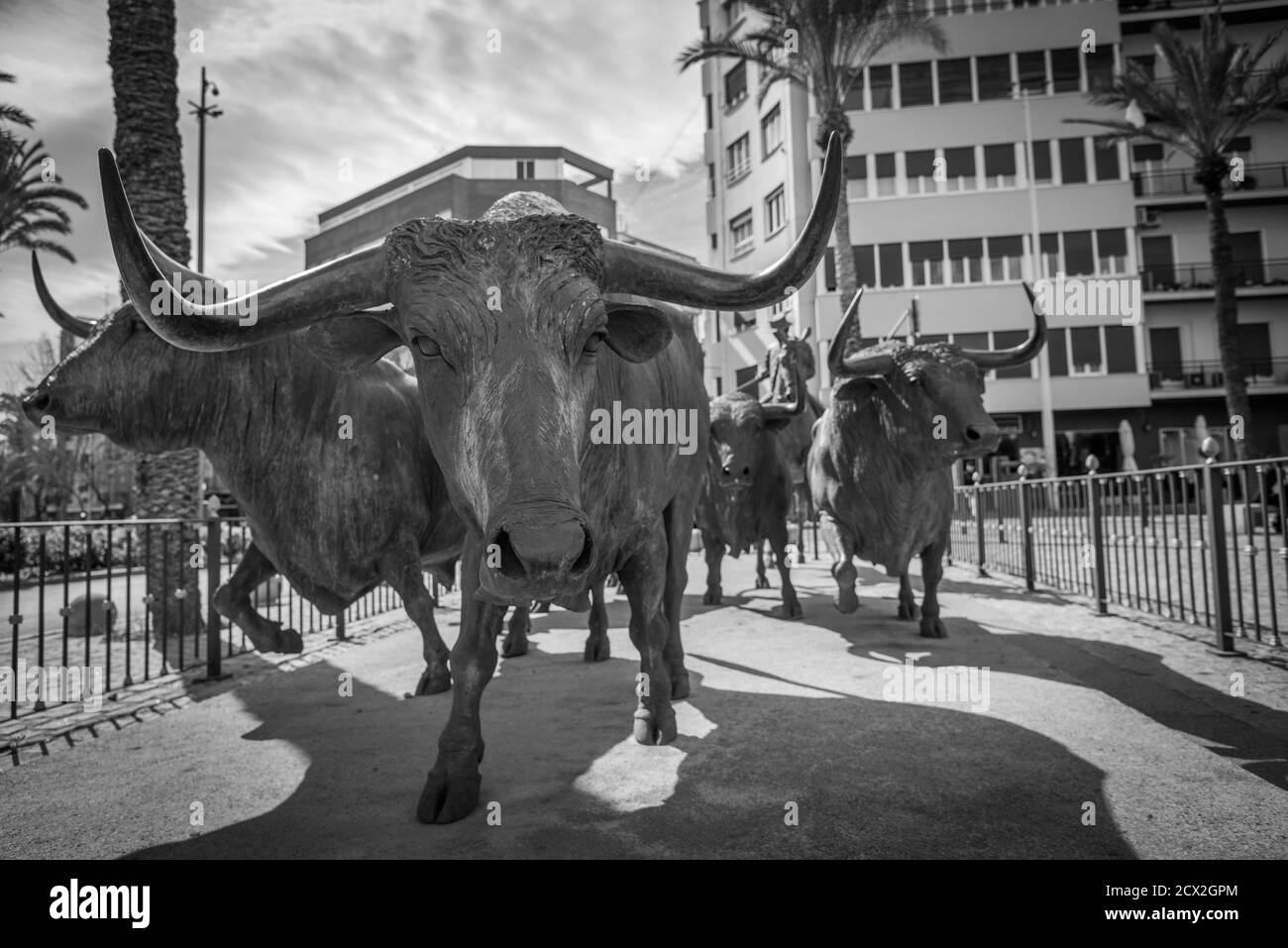Spain malaga bull fighting Black and White Stock Photos & Images - Alamy