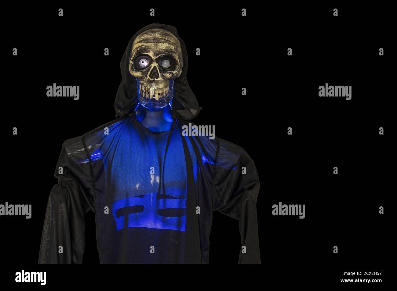 Close up view of blue lighted skeleton head on blue background ...