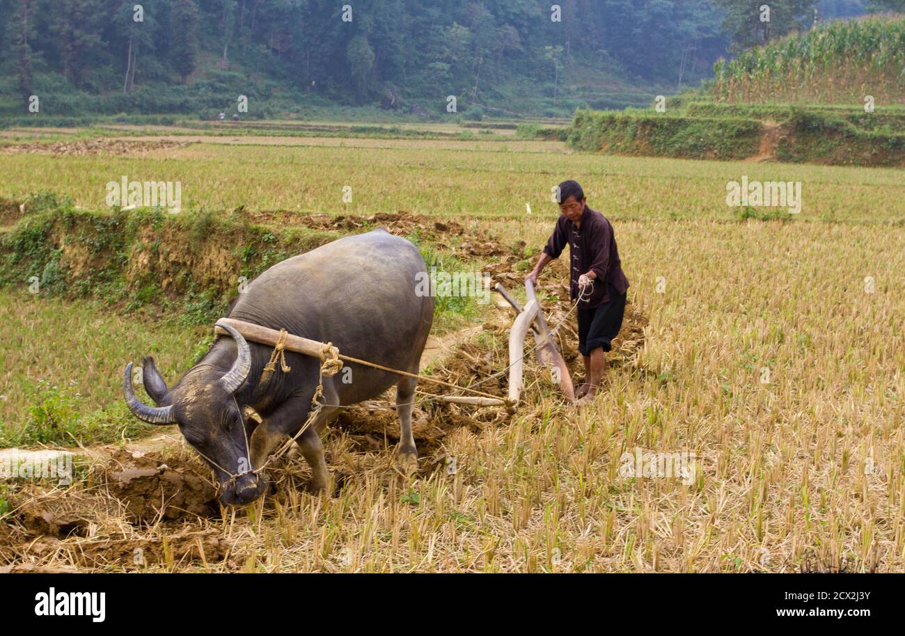 Yellow plows hi-res stock photography and images - Alamy