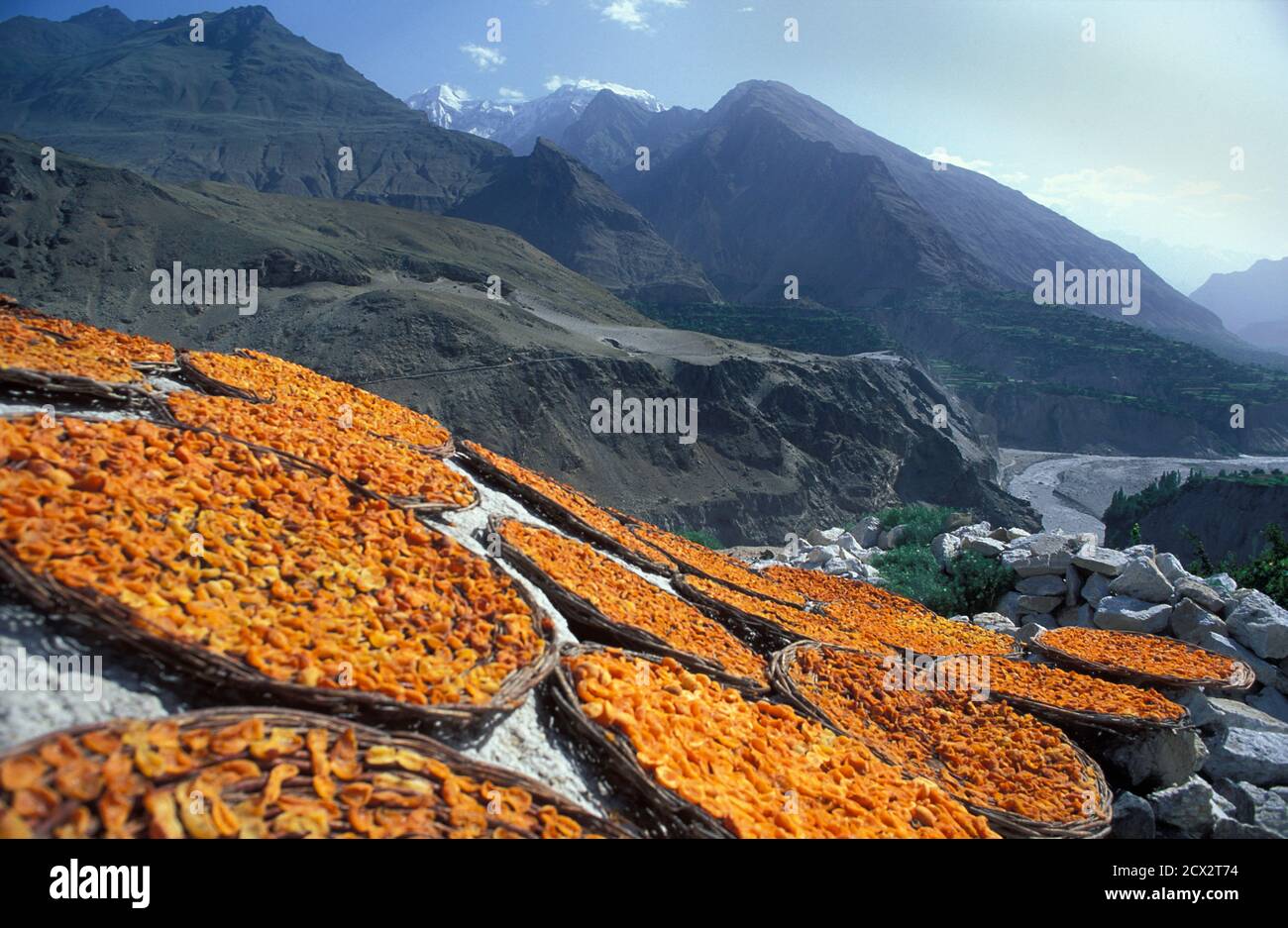 Hunza apricots pakistan hi-res stock photography and images - Alamy