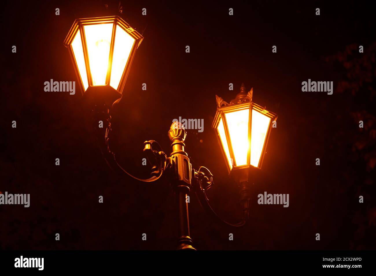 beautiful glowing street lamp in the park at night Stock Photo - Alamy