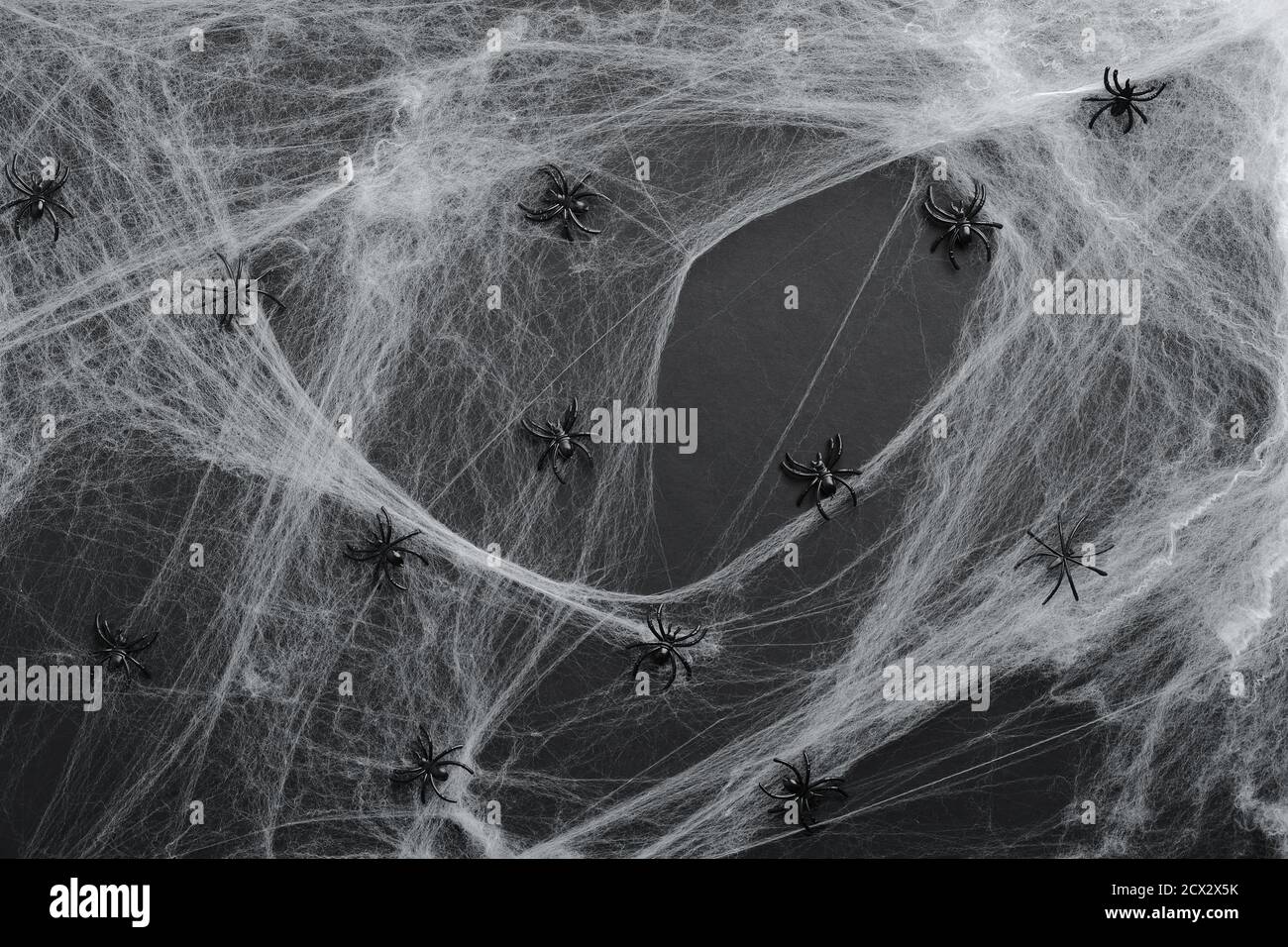 Frame made of spider web and spiders on black background. Happy ...