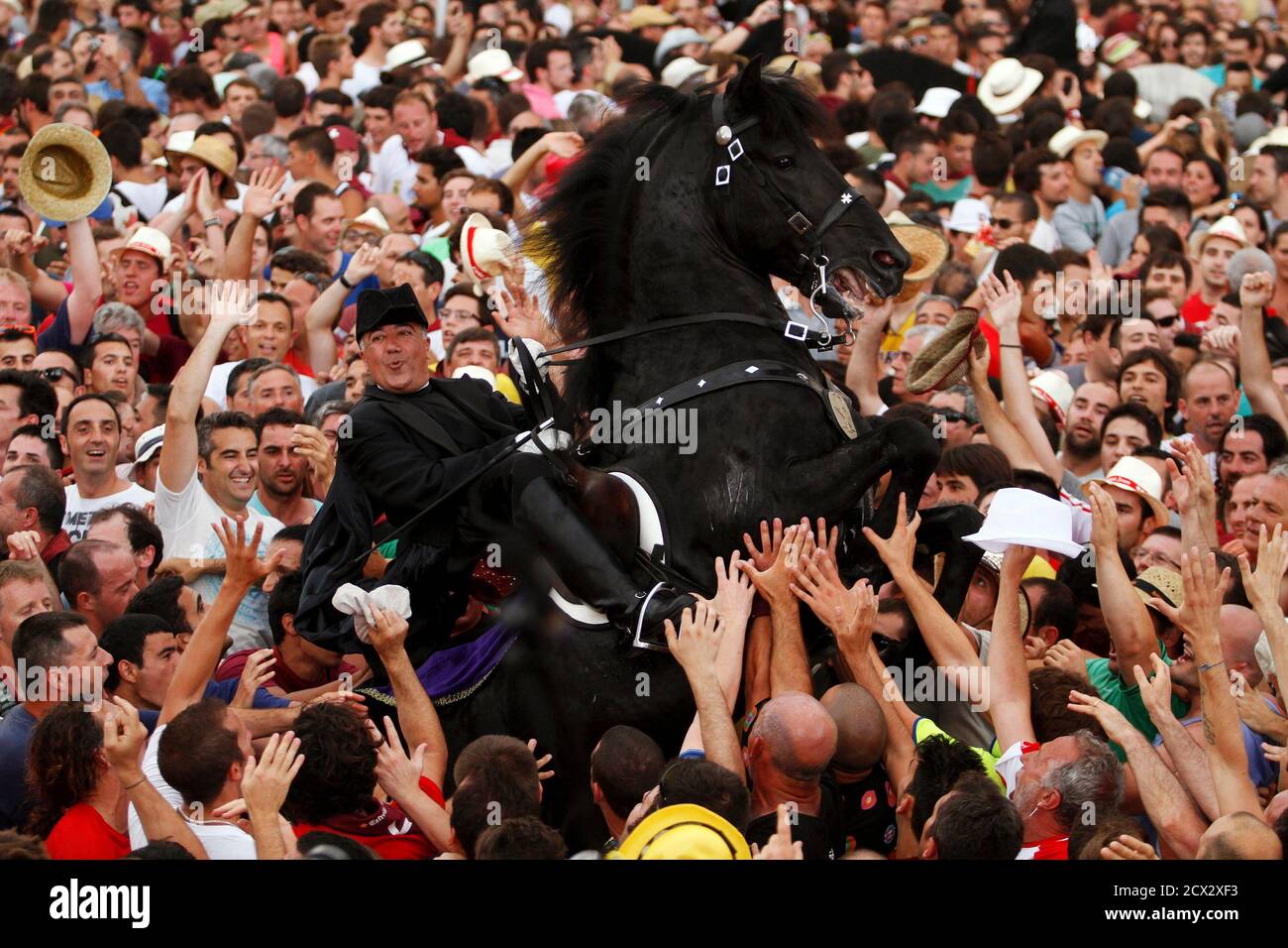Animal crowd cheering hi-res stock photography and images - Alamy