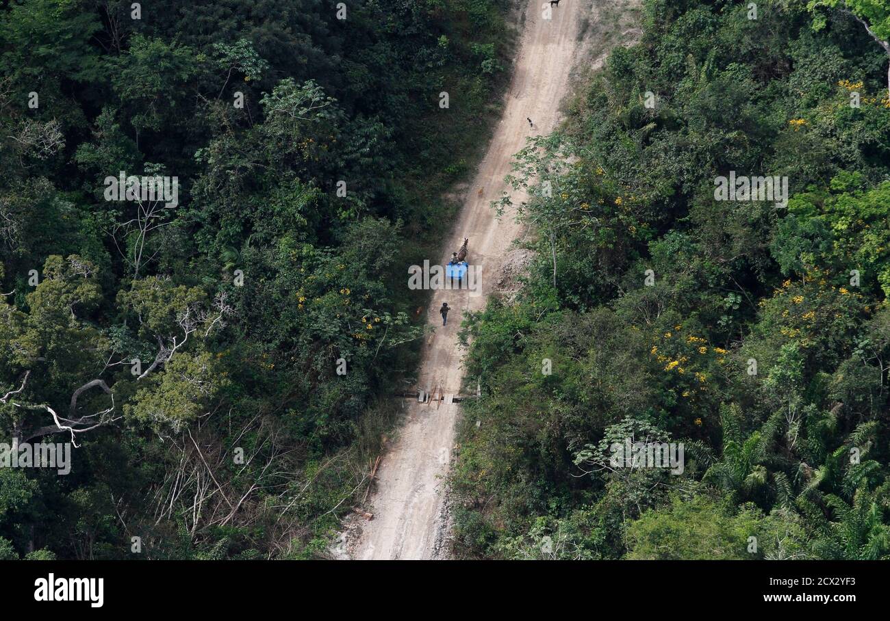 Deforestation amazon cutting hi-res stock photography and images - Alamy
