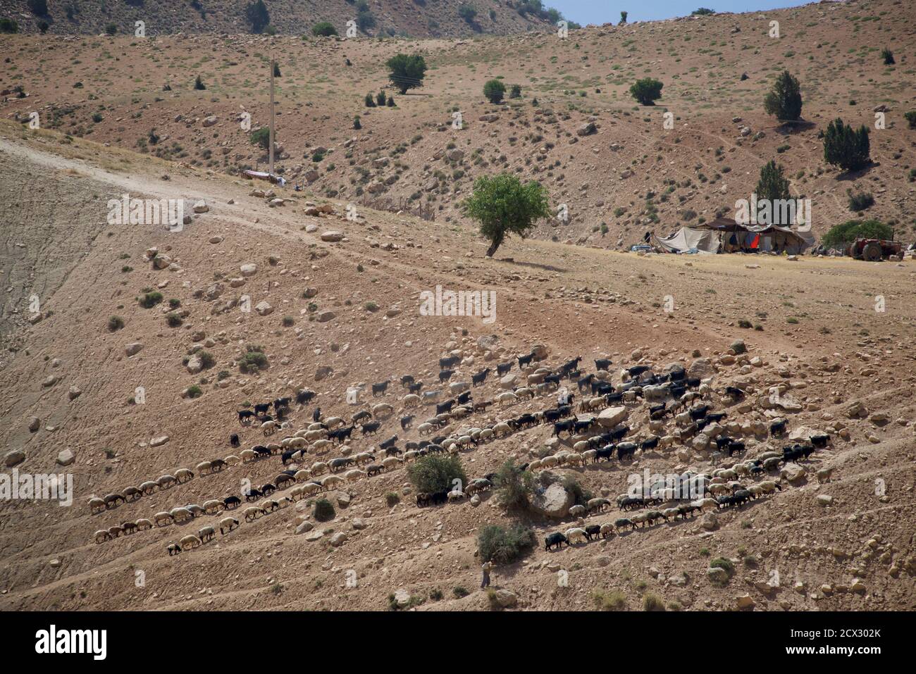 Chaharmahal hi-res stock photography and images - Alamy