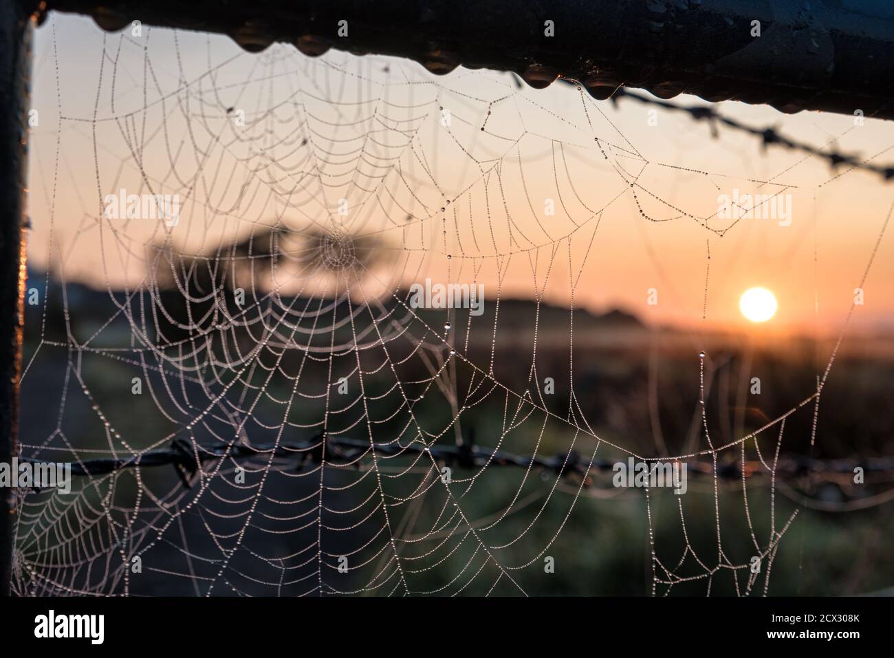 Spider web sunrise hi-res stock photography and images - Alamy