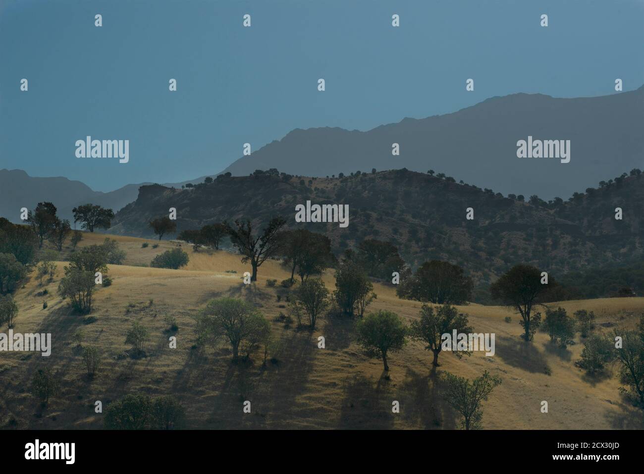 Jamie dana hi-res stock photography and images - Alamy