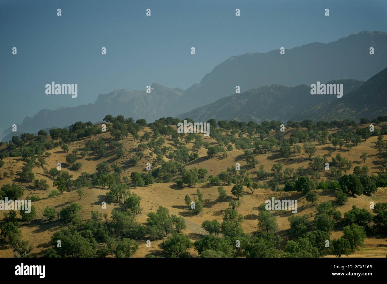 Jamie dana hi-res stock photography and images - Alamy