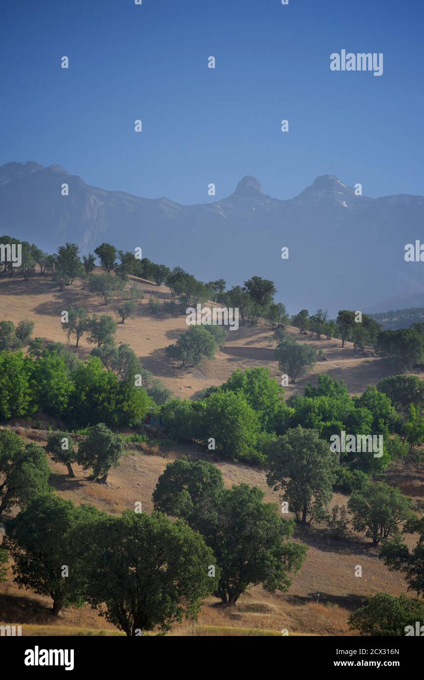 Fothills hi-res stock photography and images - Alamy