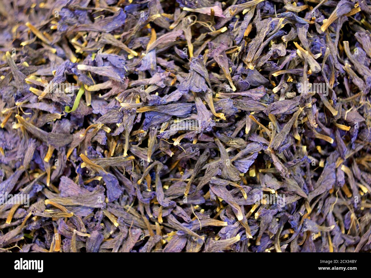 Iran16910 hi-res stock photography and images - Alamy