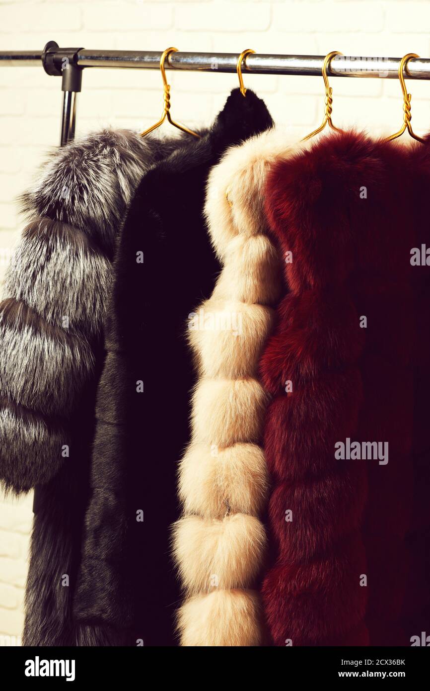 fashionable luxurious waist coats of fur hanging on rack on golden ...