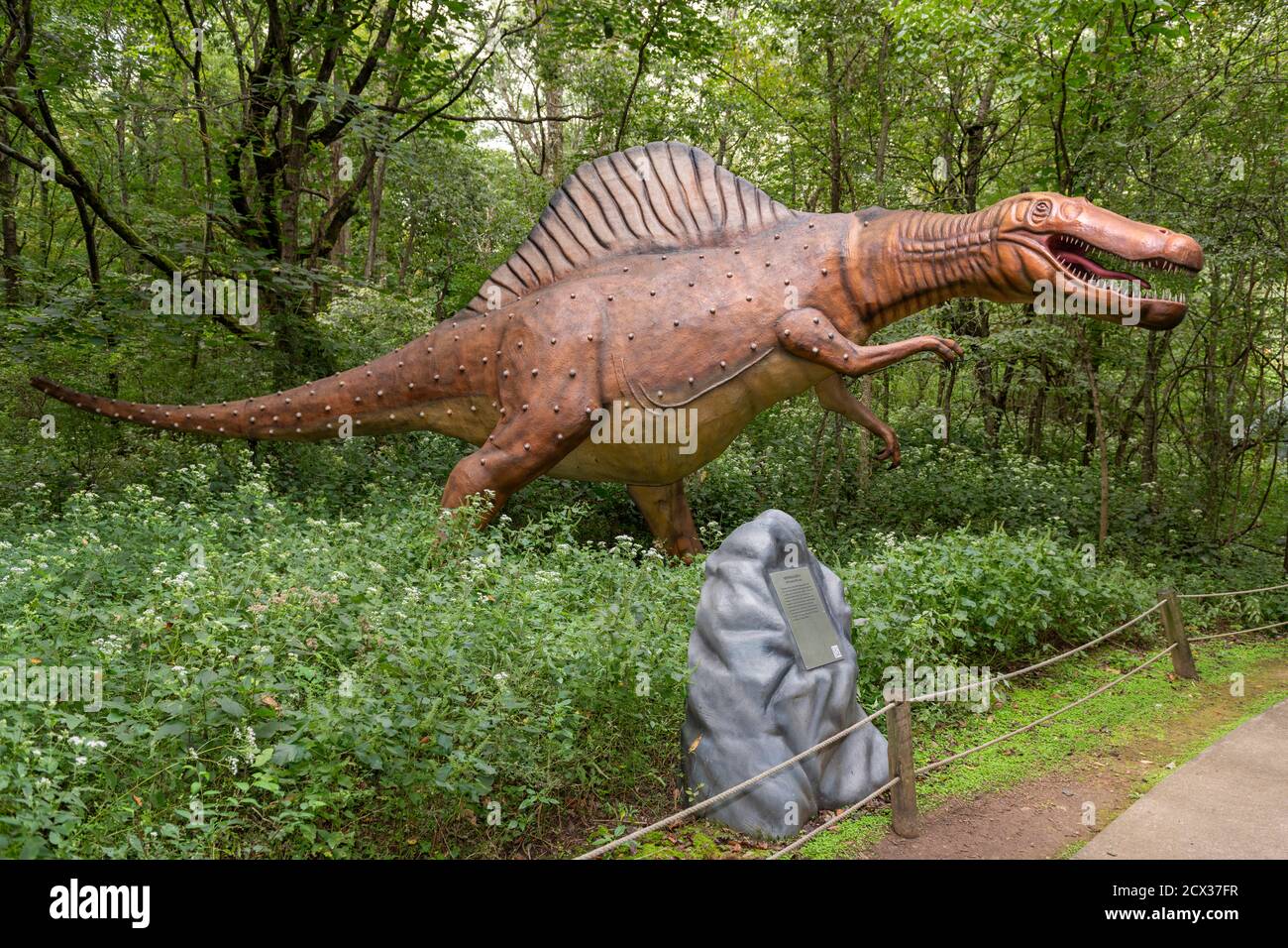 Cave City Kentucky Dinosaur World Dinosaur World Kentucky | | Alluring