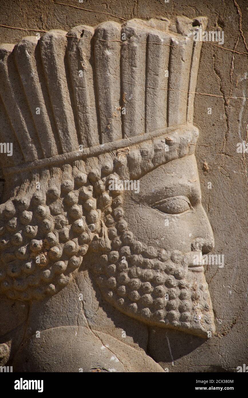 Persian man in relief, Apadana palace ruins and bas reliefs, Persepolis ...