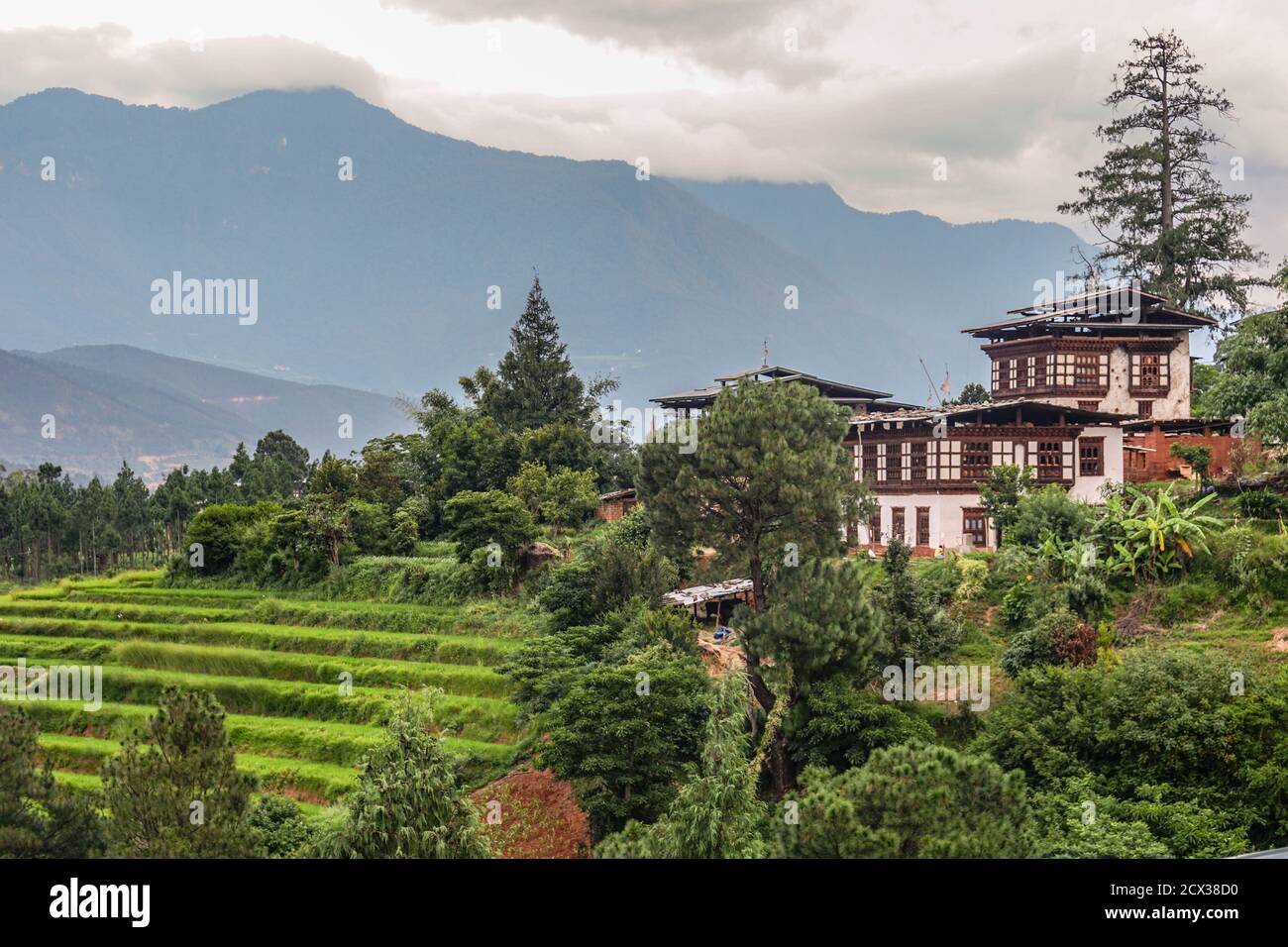 Traditional village farmhouses and terraced rice fields in Haa, Bhutan ...