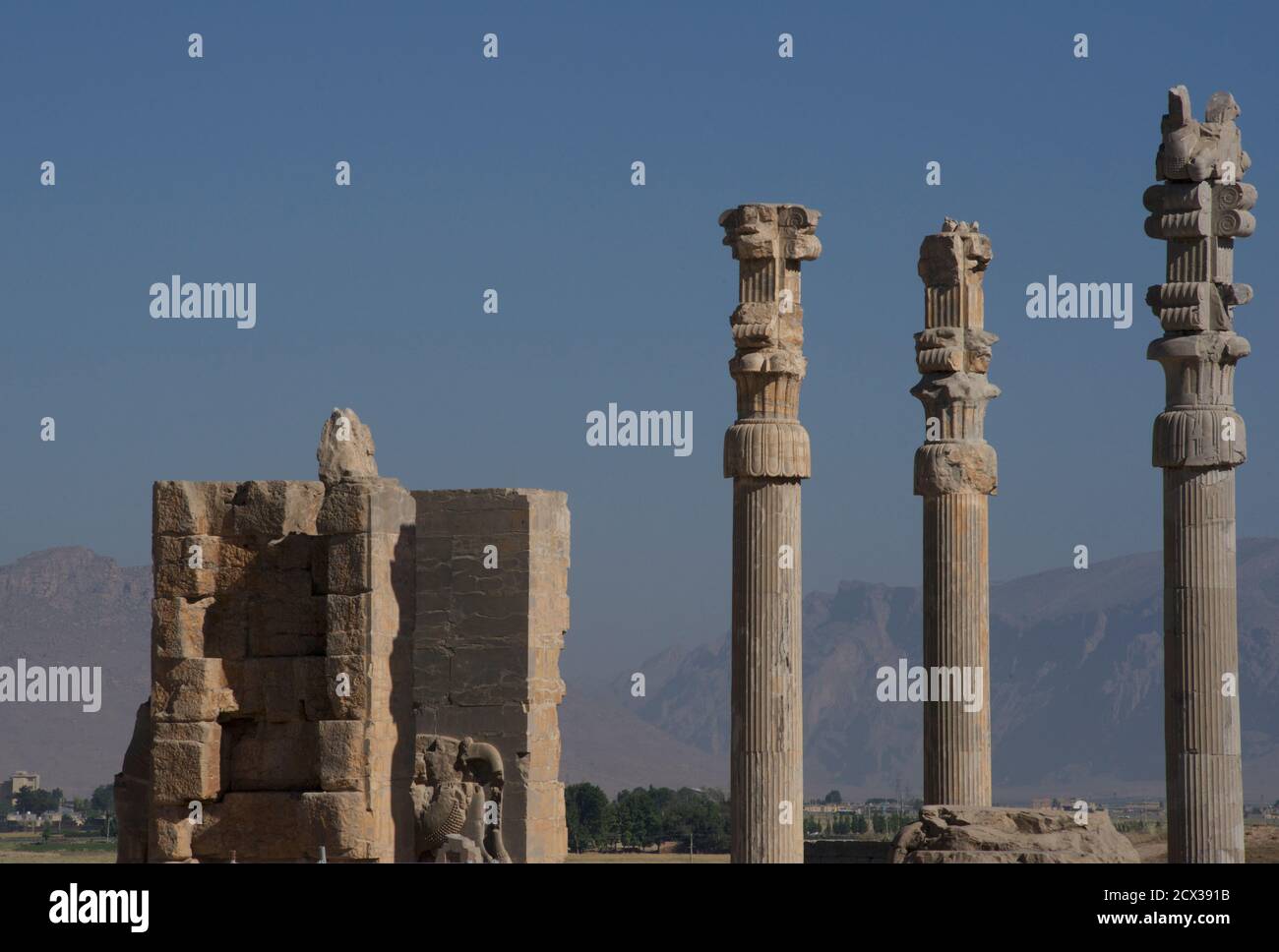 Carved Achaemenid columns at the archaeological site of Persepolis ...