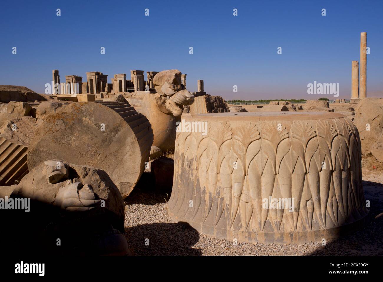 Apadana palace ruins and bas reliefs, Persepolis, Iran. Palace of ...