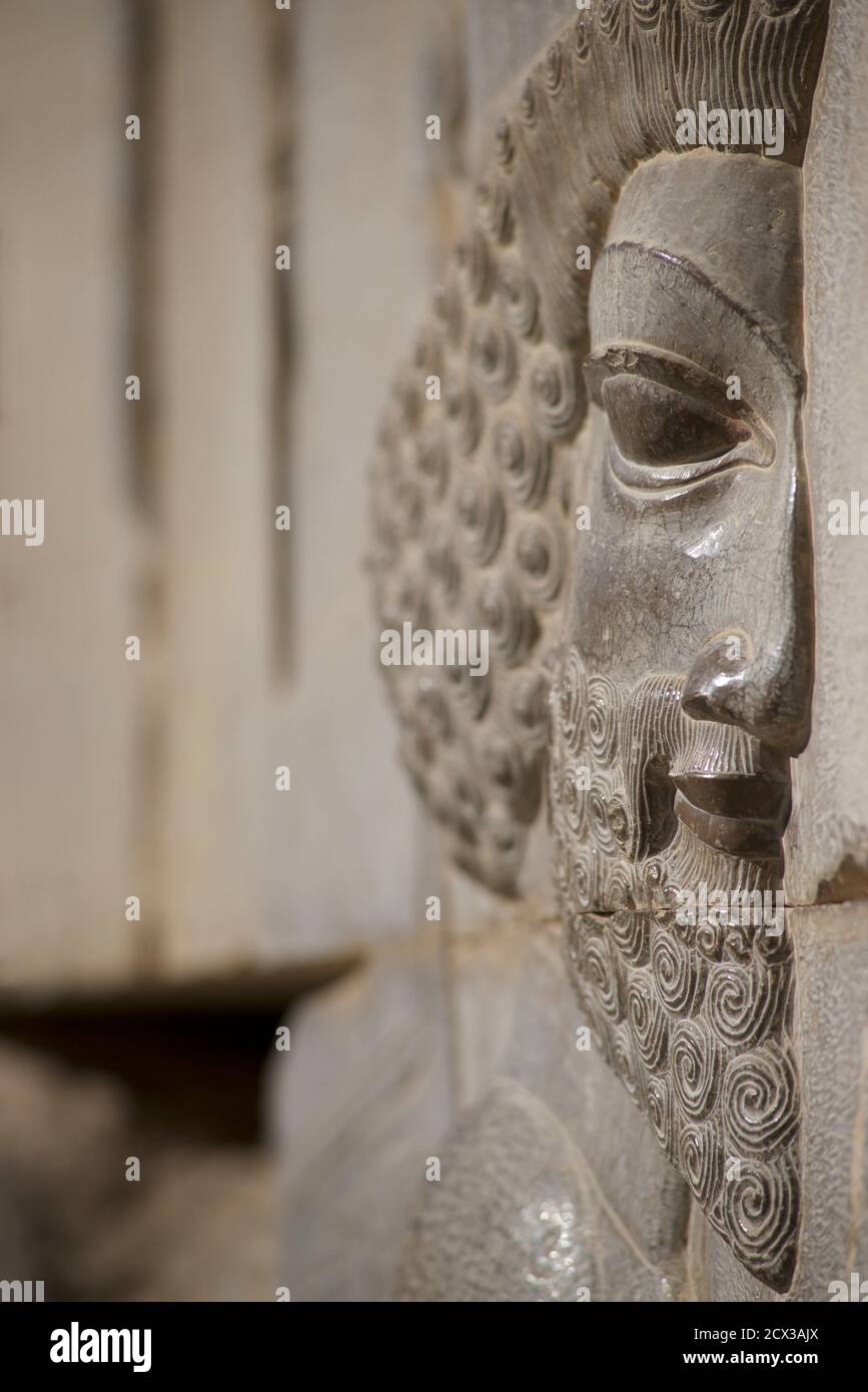 Apadana palace, Persepolis, Iran. Persian soldier in bas relief Stock ...