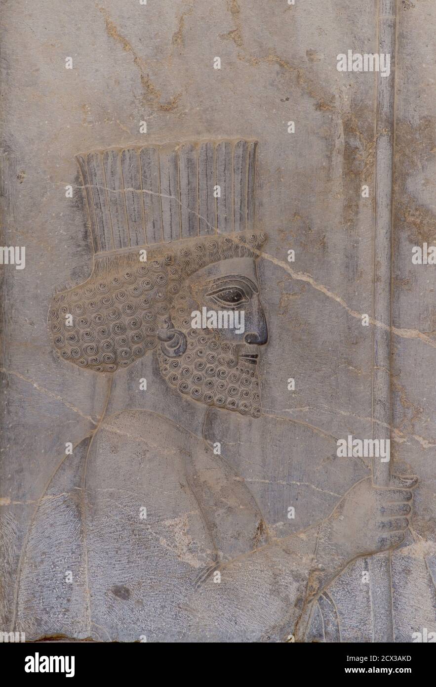 Apadana palace ruins and bas reliefs, Persepolis, Iran. Persian soldier ...