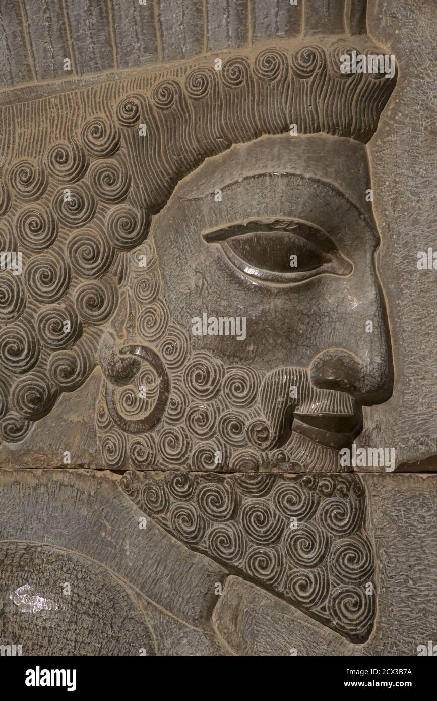 Apadana palace, Persepolis, Iran. Persian soldier in bas relief Stock ...