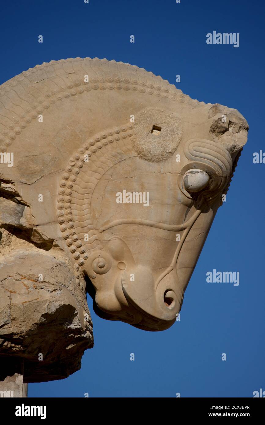 Bull capital. Carved Achaemenid columns at Persepolis, Iran. Hall of ...