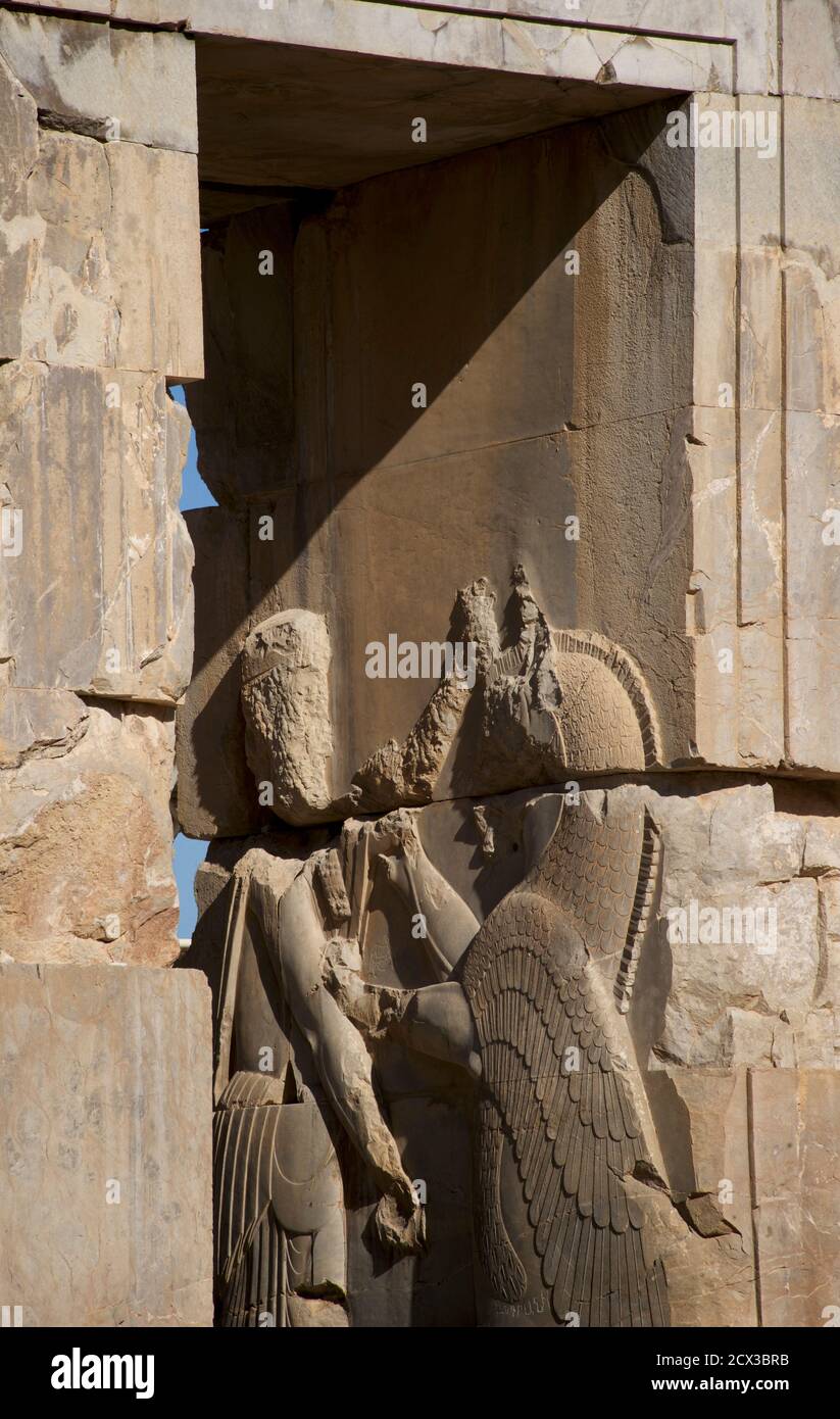 Darius the great lion hi-res stock photography and images - Alamy