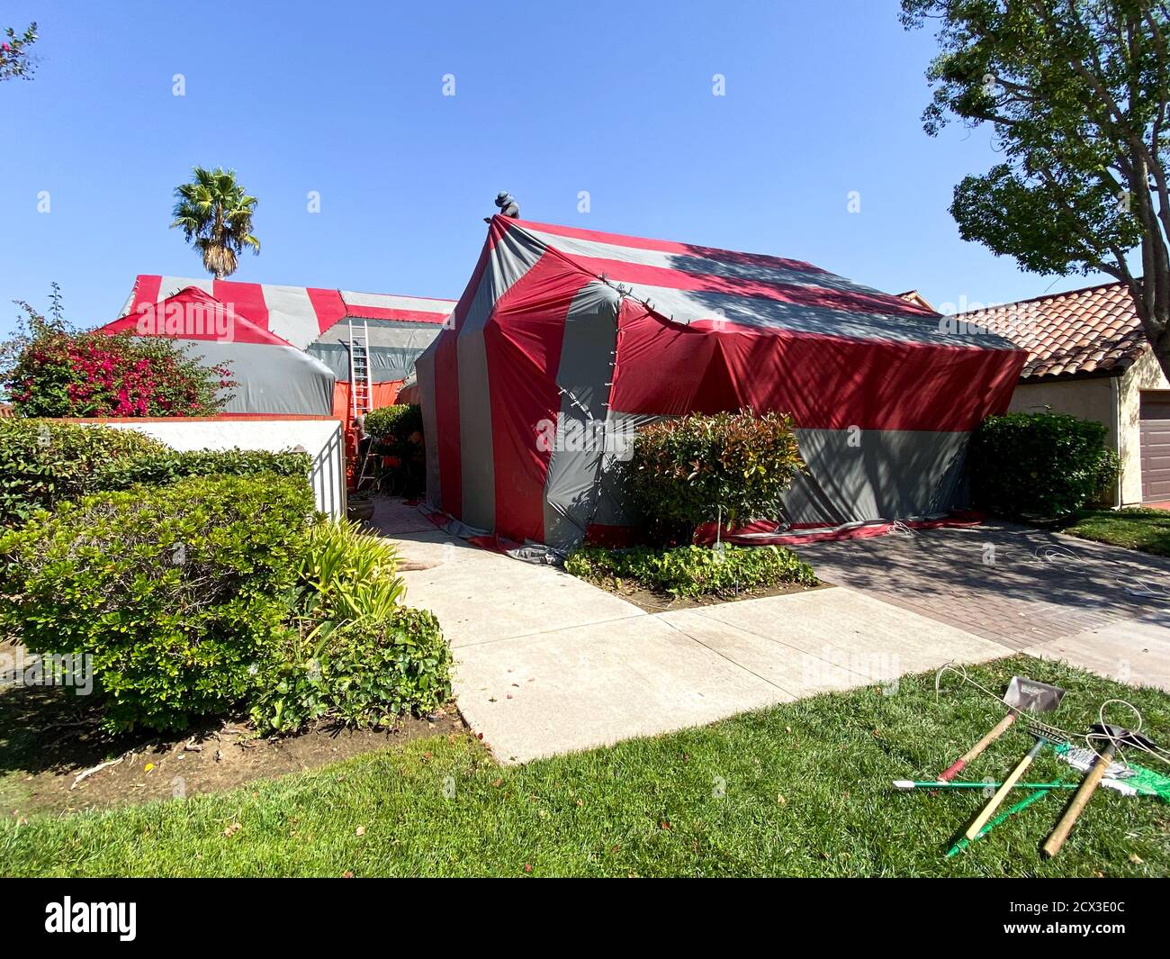 Worker installing a tent on a residential villa for termite fumigation ...