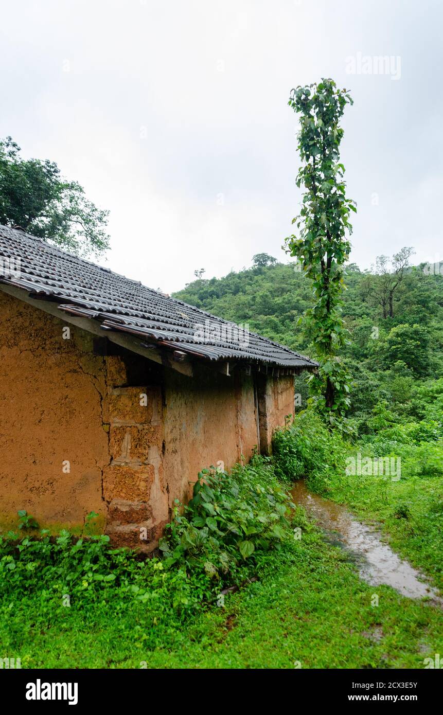 Mountain top settlement used by Velip and Kunbi tribal villagers living ...