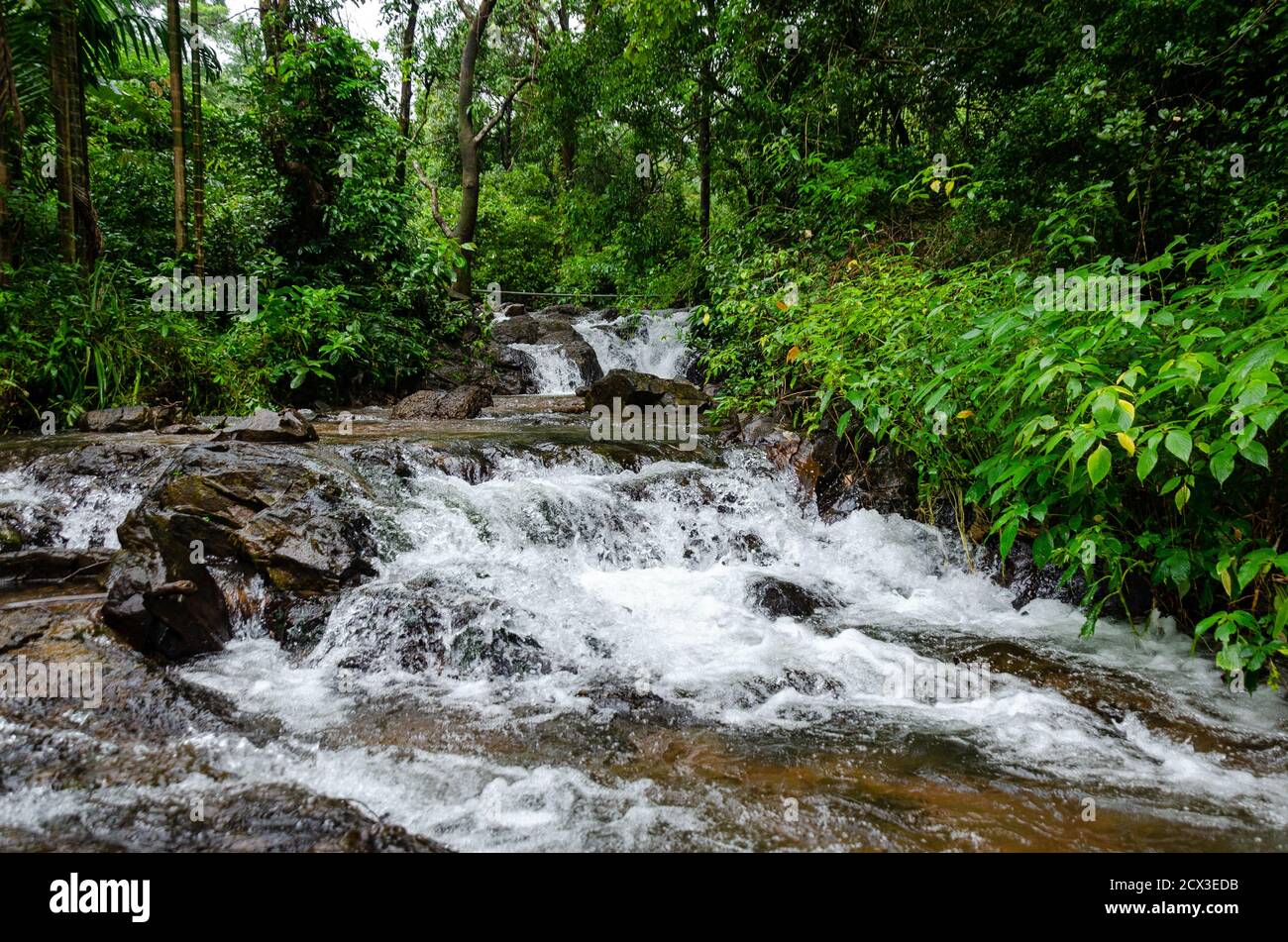 Stream of water which flows down the hill and forms one of the many ...