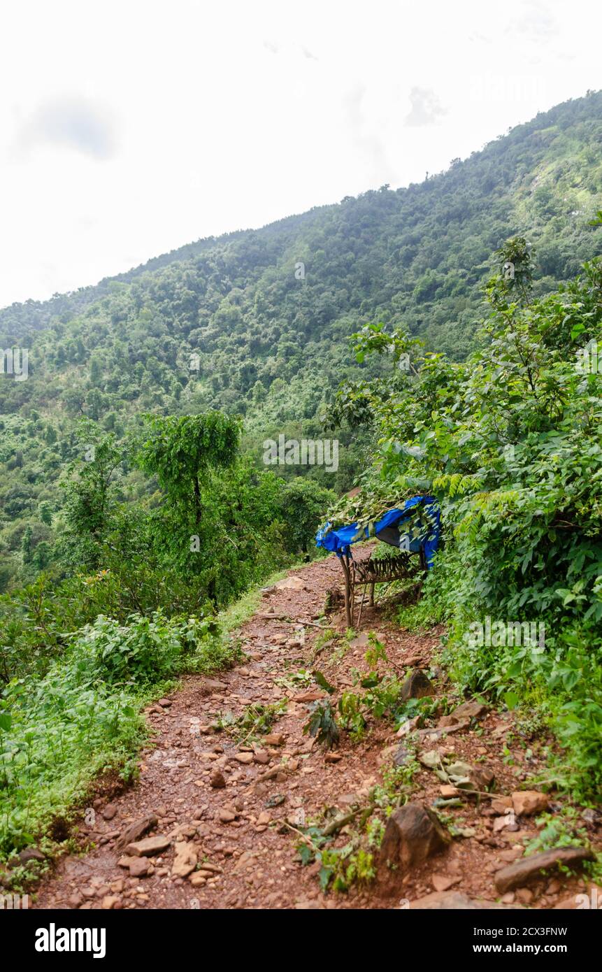 Temporary sheds built by Velip and Kunbi tribal villagers midway up the ...