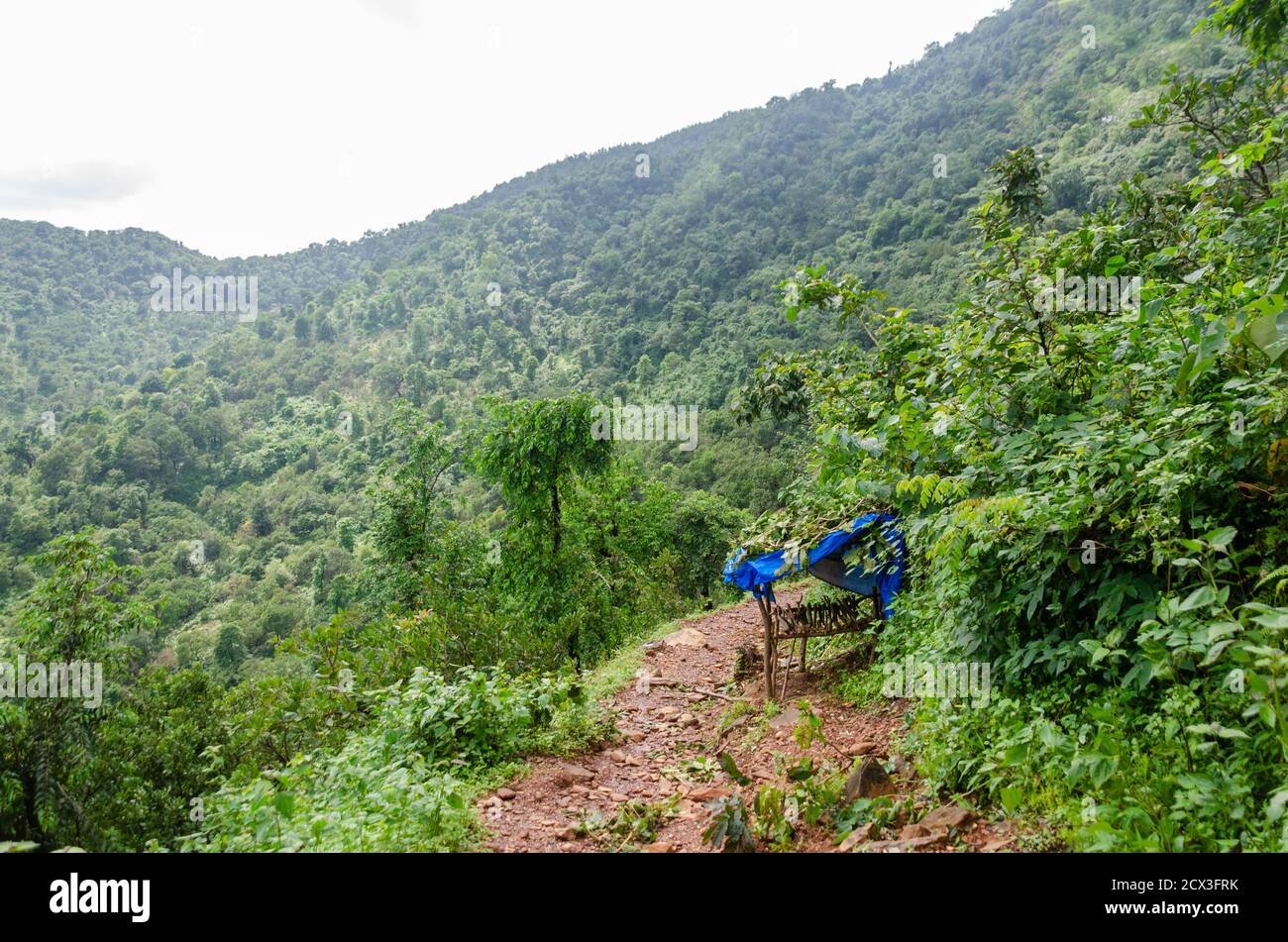 Temporary sheds built by Velip and Kunbi tribal villagers midway up the ...