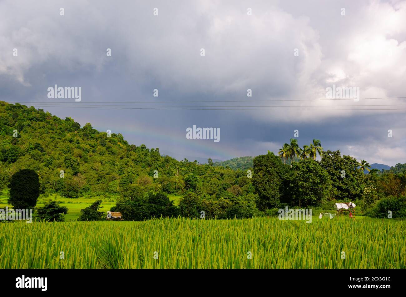 Goan landscape hi-res stock photography and images - Alamy