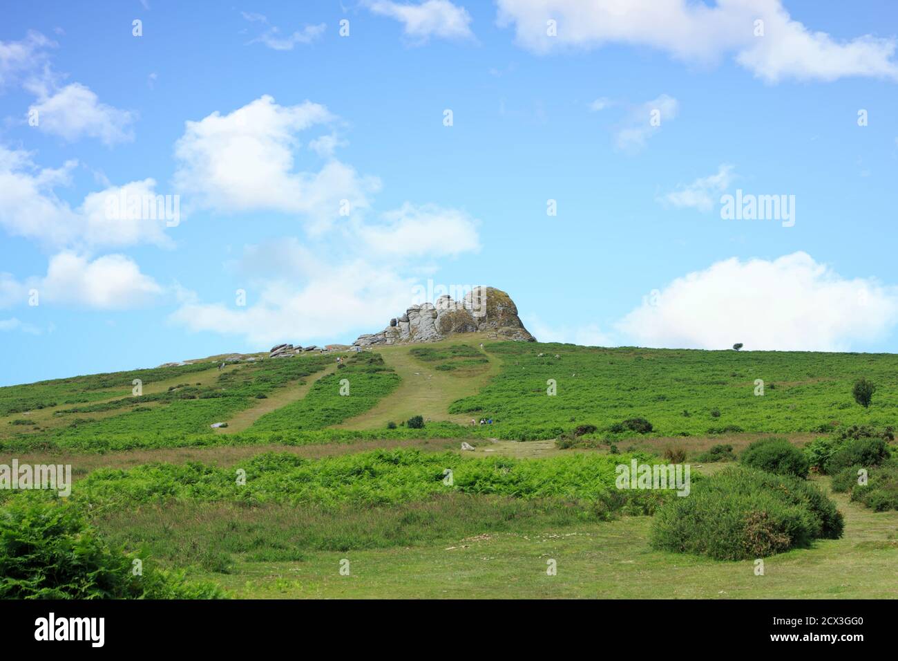 Haytor in Dartmoor Stock Photo - Alamy