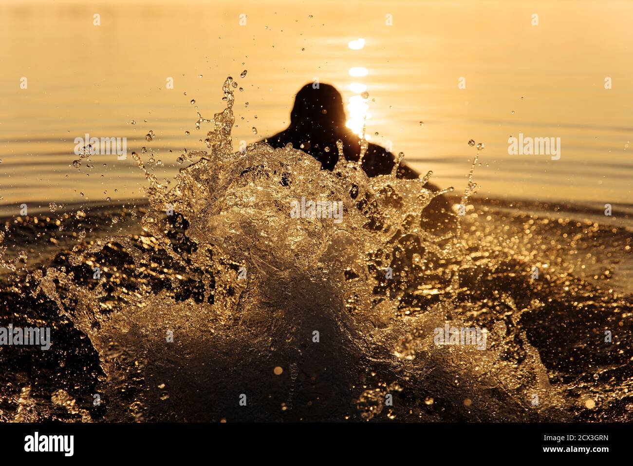 Butterfly training hi-res stock photography and images - Alamy