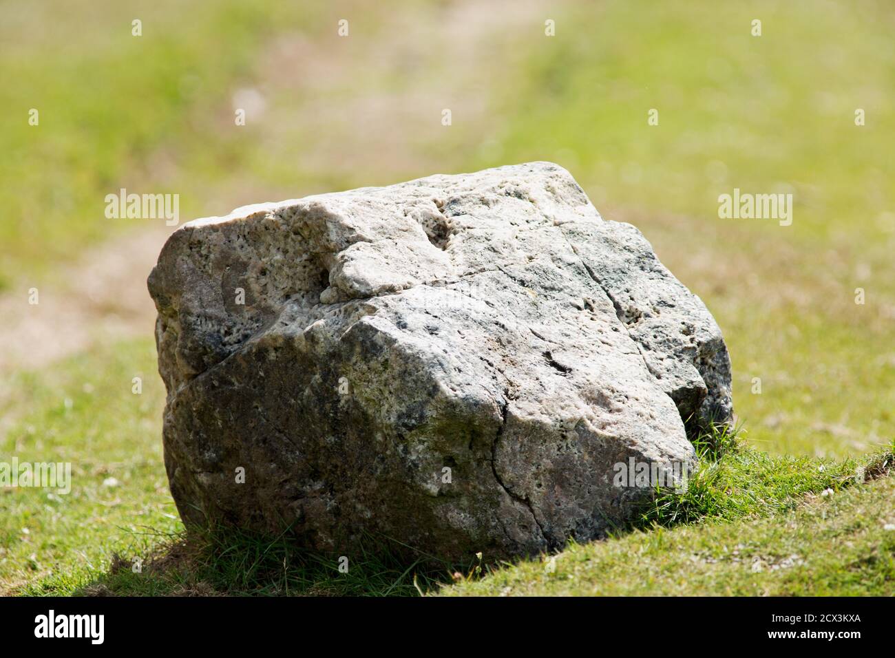 A large Boulder resting on the lush green grass of Dartmoor National ...