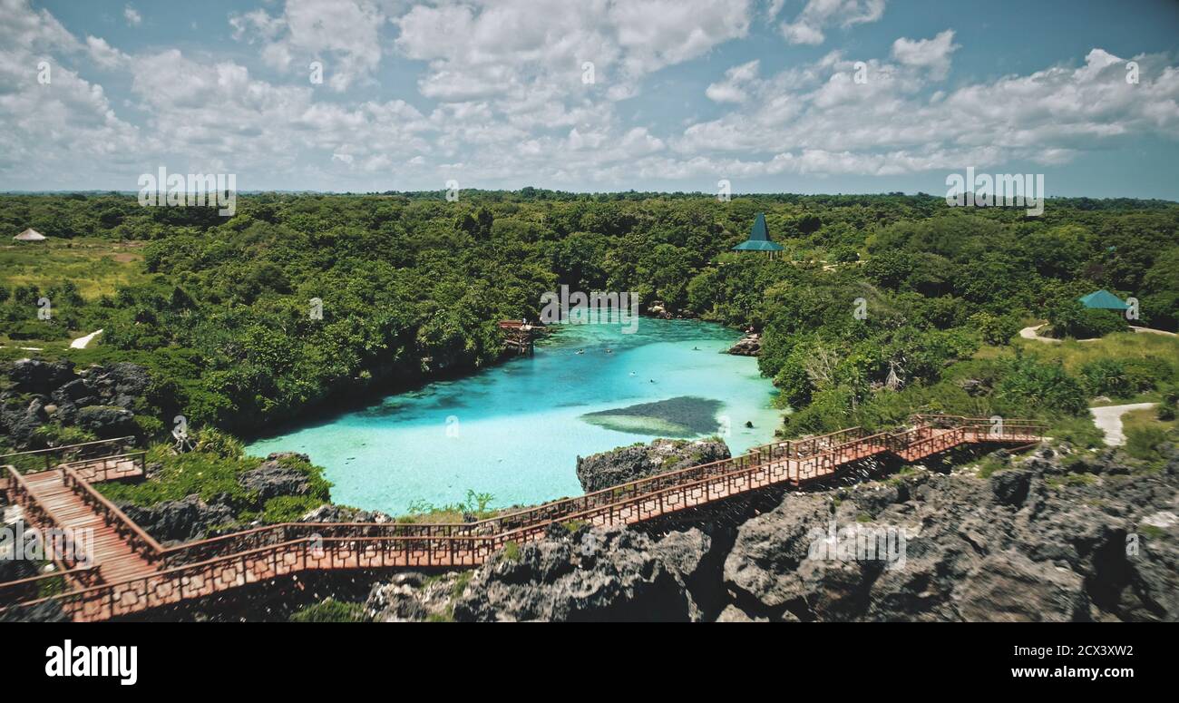 Green cliff ocean coast with limpid lake at tropic plants and trees in ...