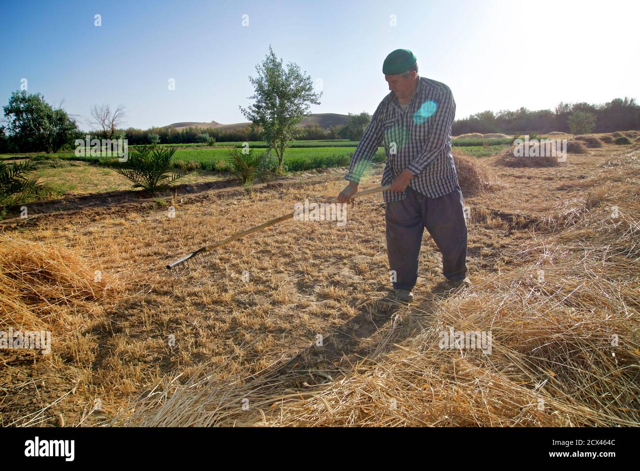 Agriculture in Iran. Mesr village, Isfahan province, Iran Stock Photo ...