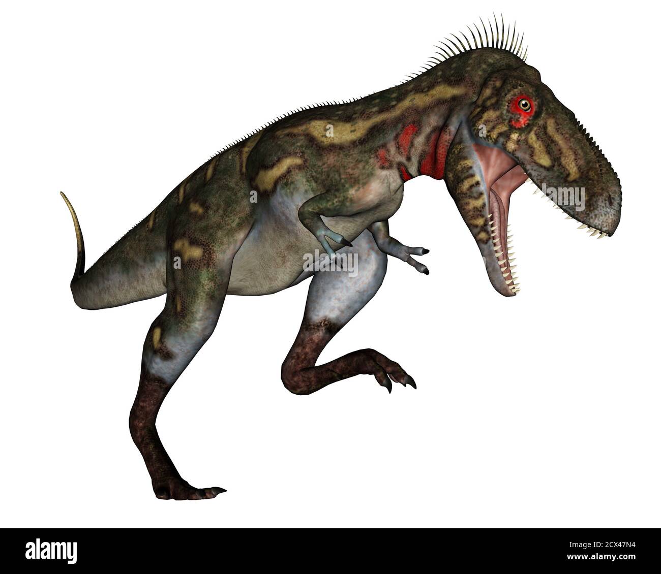 Nanotyrannus dinosaur roaring - 3D render Stock Photo - Alamy