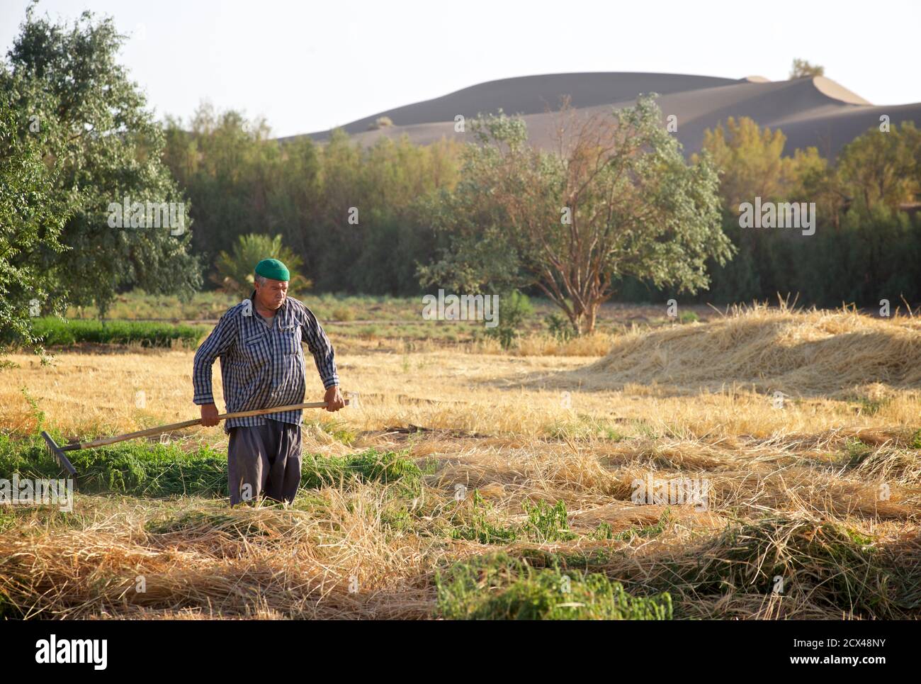 Agriculture in Iran. Mesr village, Isfahan province, Iran Stock Photo ...