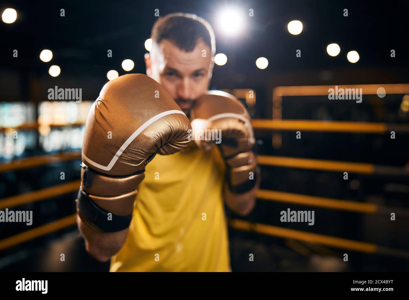 Boxing champion standing in a defensive pose Stock Photo - Alamy
