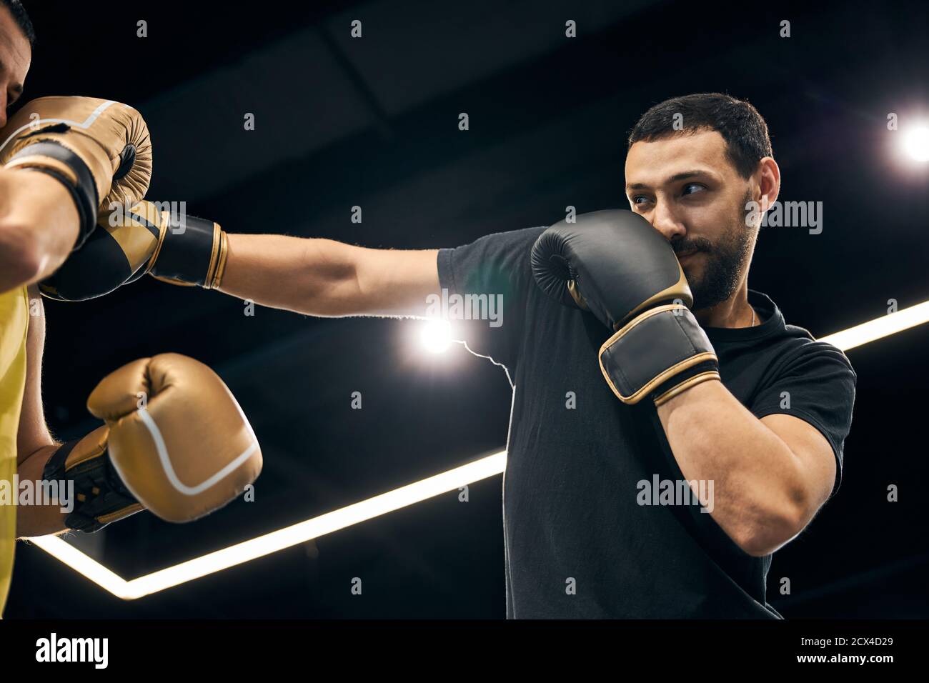 Unconscious boxer hi-res stock photography and images - Alamy