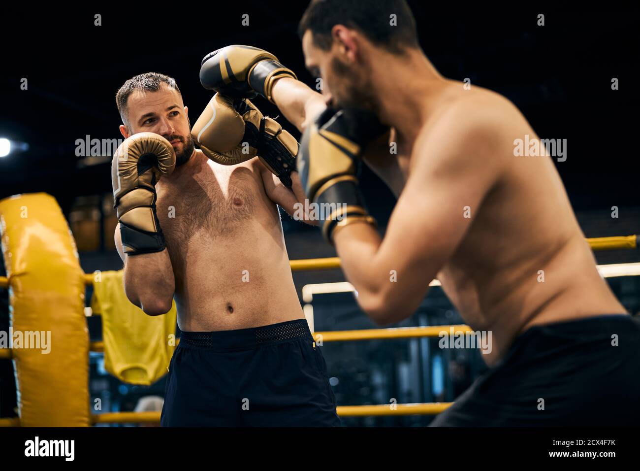 Prepared boxer blocking a hit to the head Stock Photo - Alamy