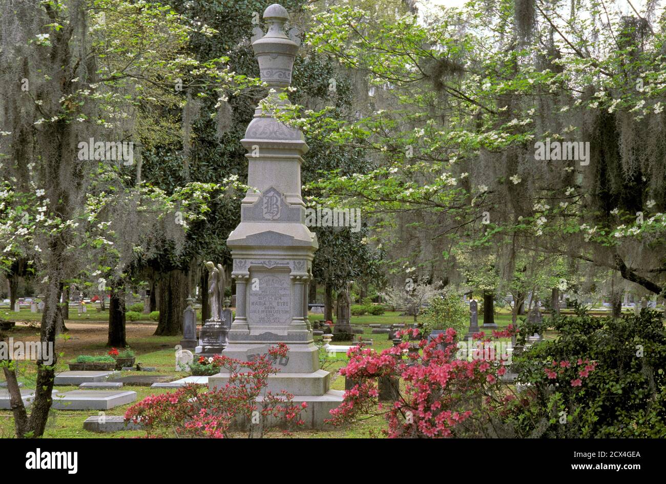 USA, Deep South, Southern, Alabama, Selma, Live Oak Cemetery Stock ...