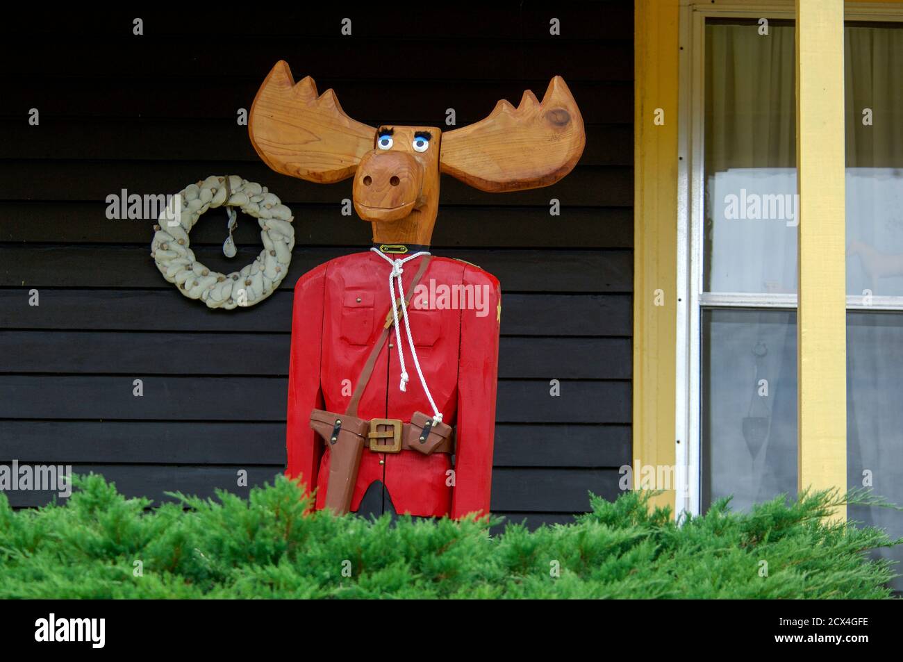 Canadian Mountie Moose