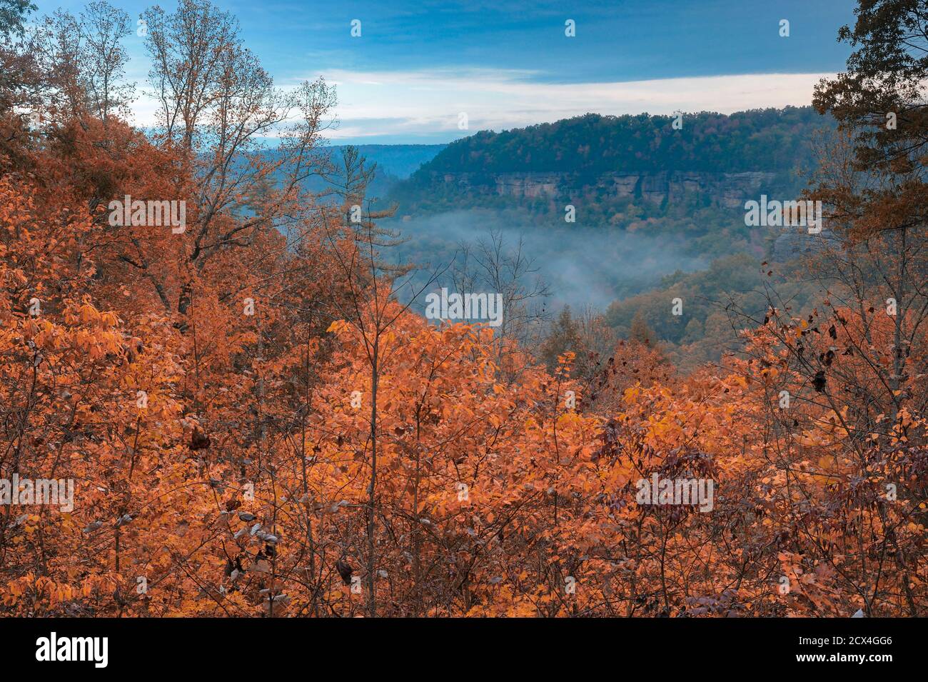 USA, southeastern, Kentucky, Daniel Boone National Forest, The Red ...