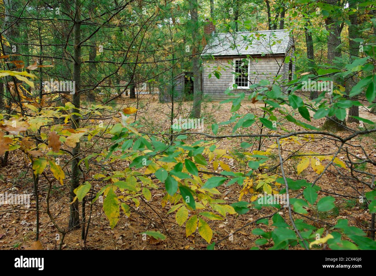 Thoreau Cabin, Walden Pond State Reservation, Indian Summer ...
