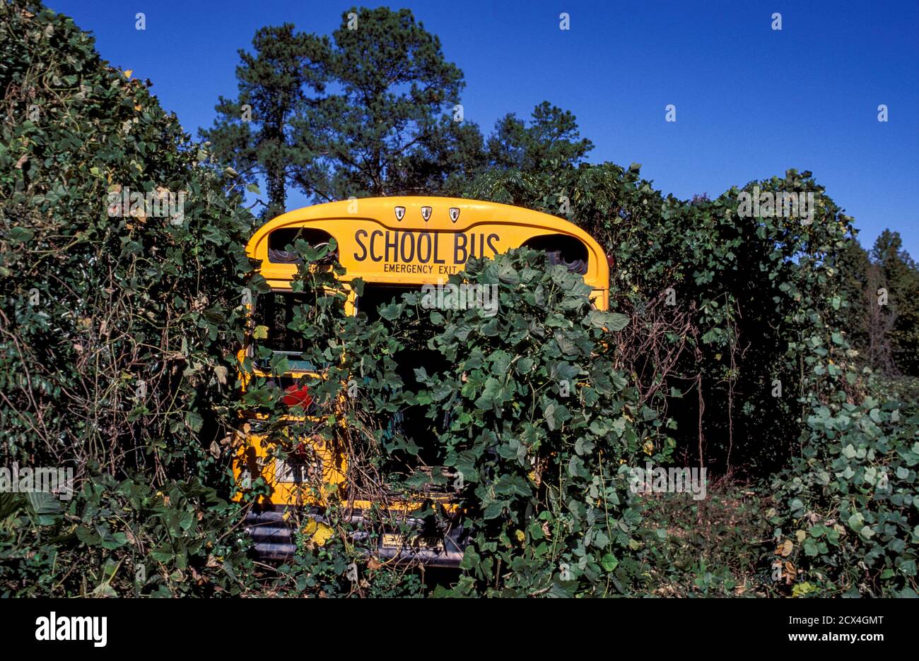 School bus overgrown with kudzu hi-res stock photography and images - Alamy