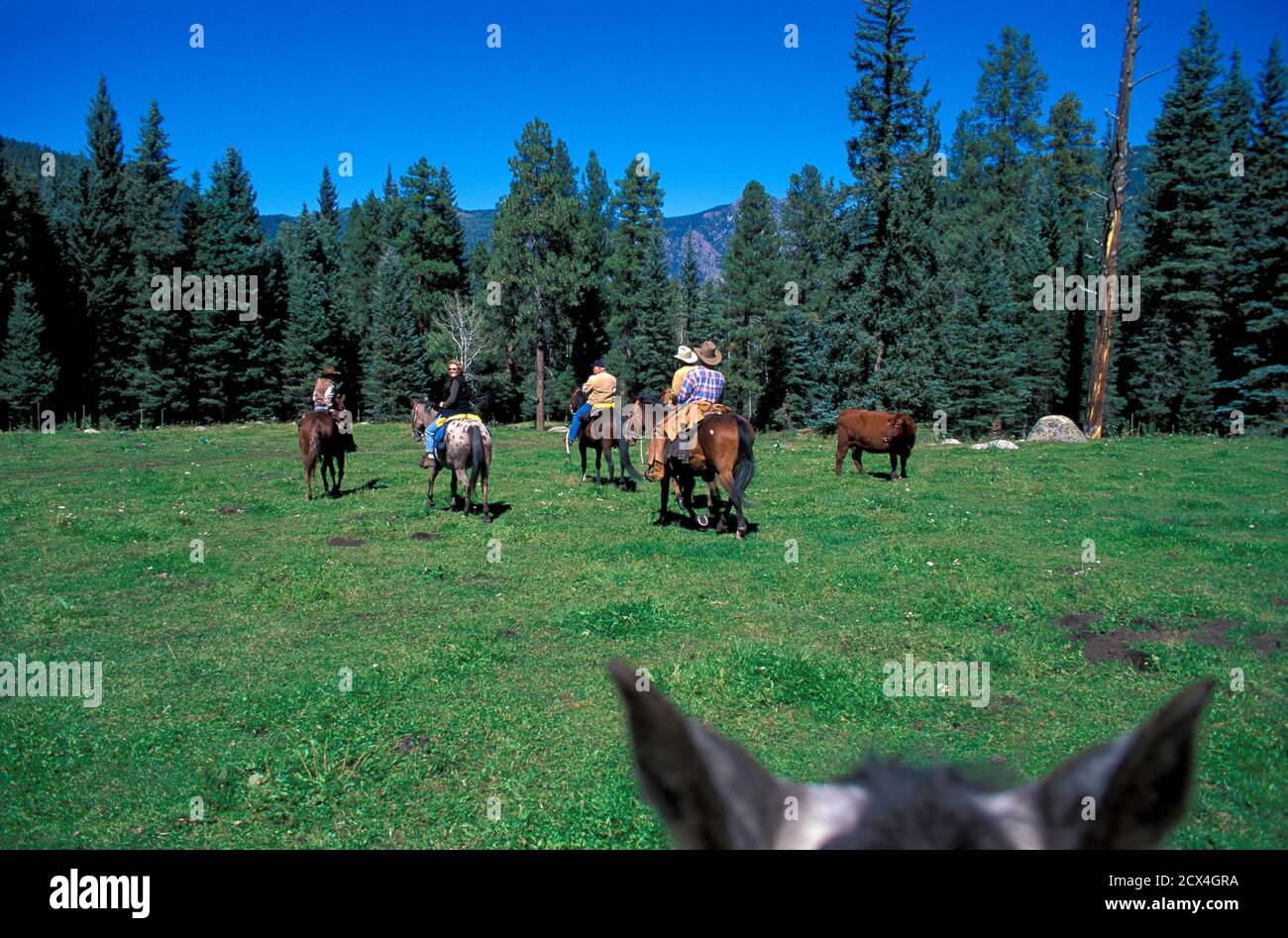 Dude ranch colorado hi-res stock photography and images - Alamy