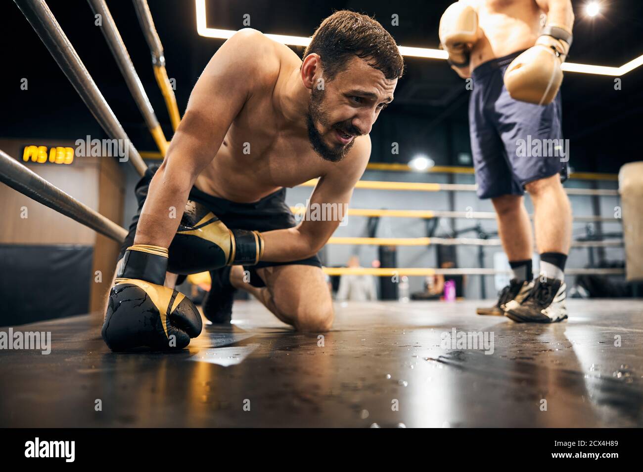Loser Boxer High Resolution Stock Photography and Images - Alamy