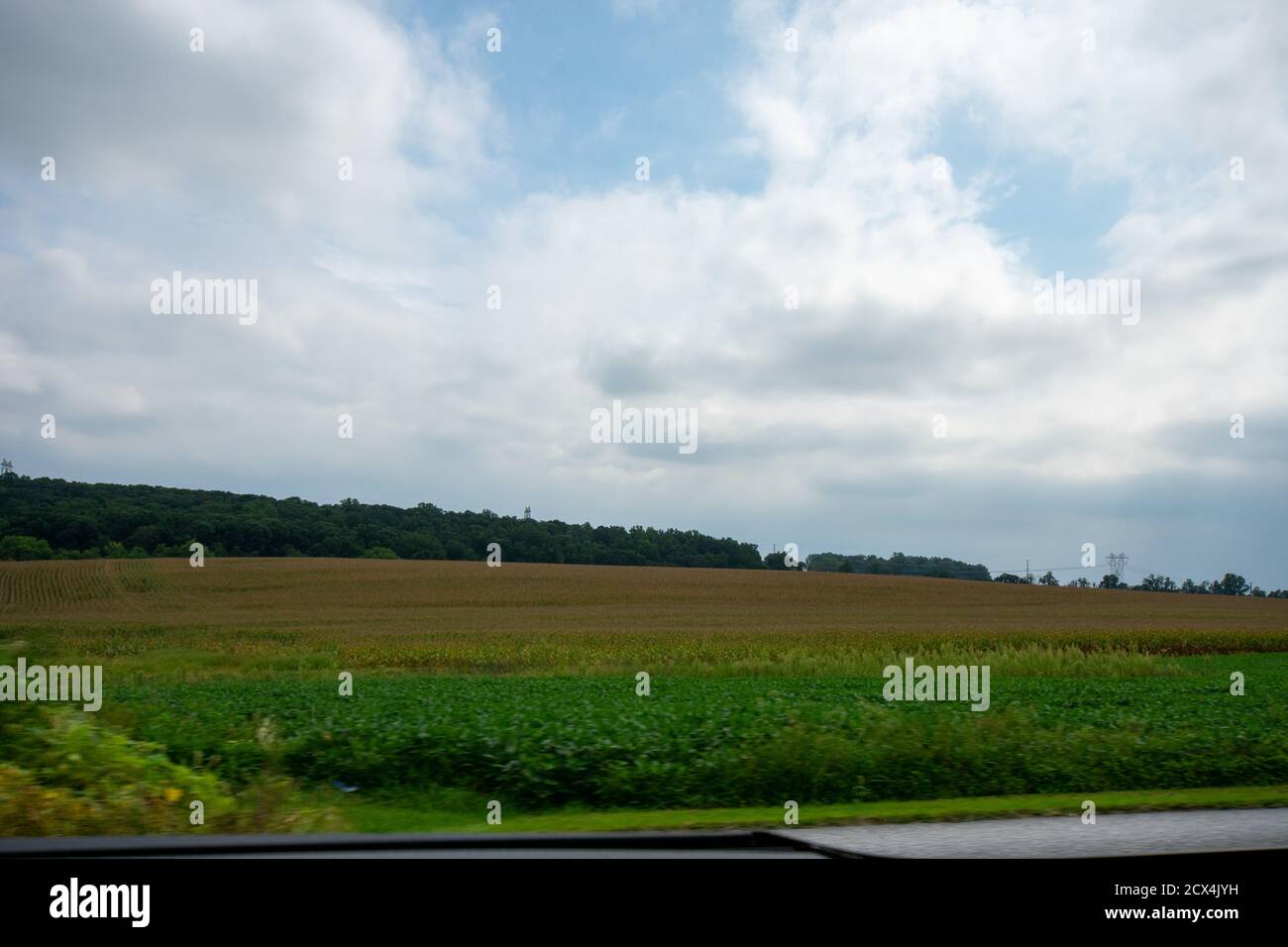 Field full of crops and empty hi-res stock photography and images - Alamy